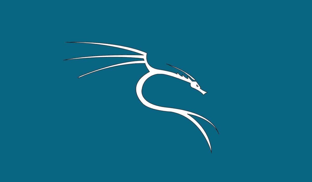 Kali Linux - Bead Daily